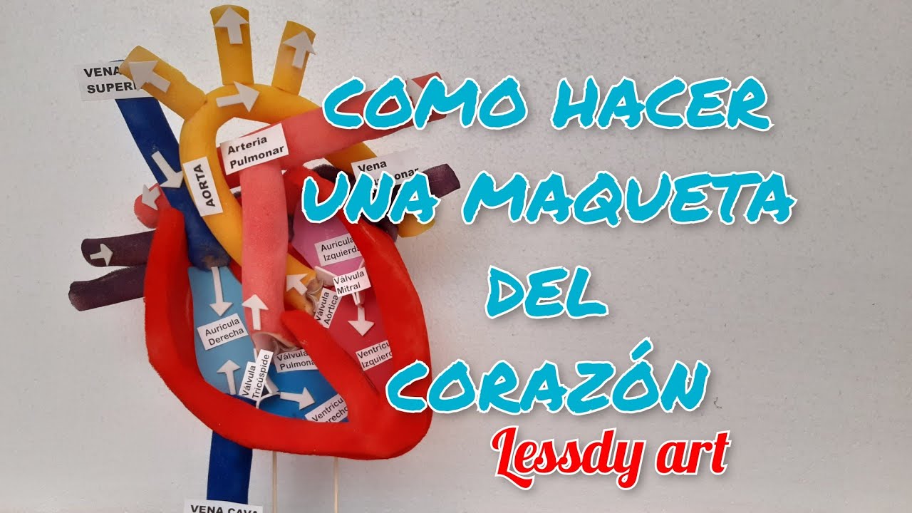 como hacer una maqueta del corazón - YouTube