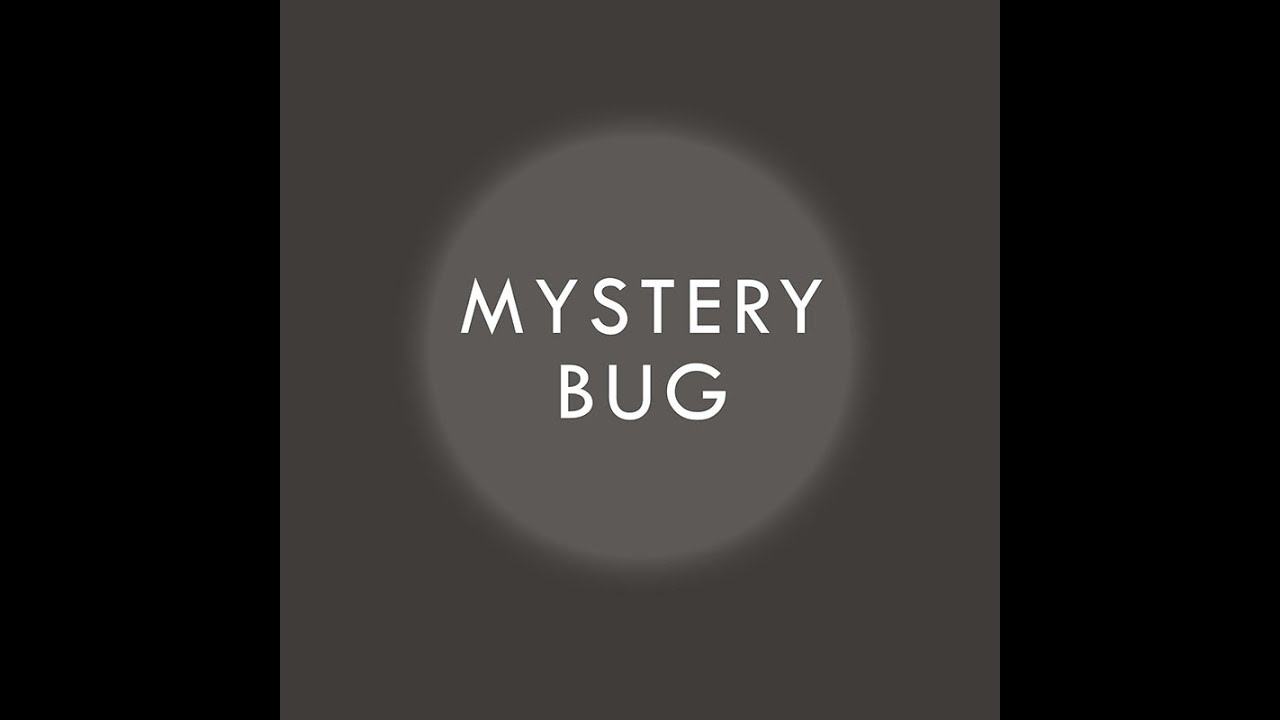 Mystery Bug - YouTube