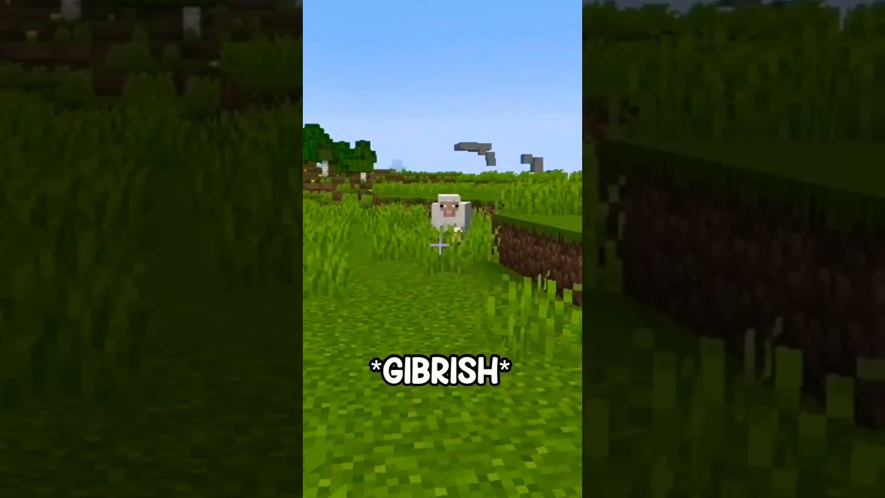 Sheep sus 😳!! #minecraft #minecraftparkour - YouTube