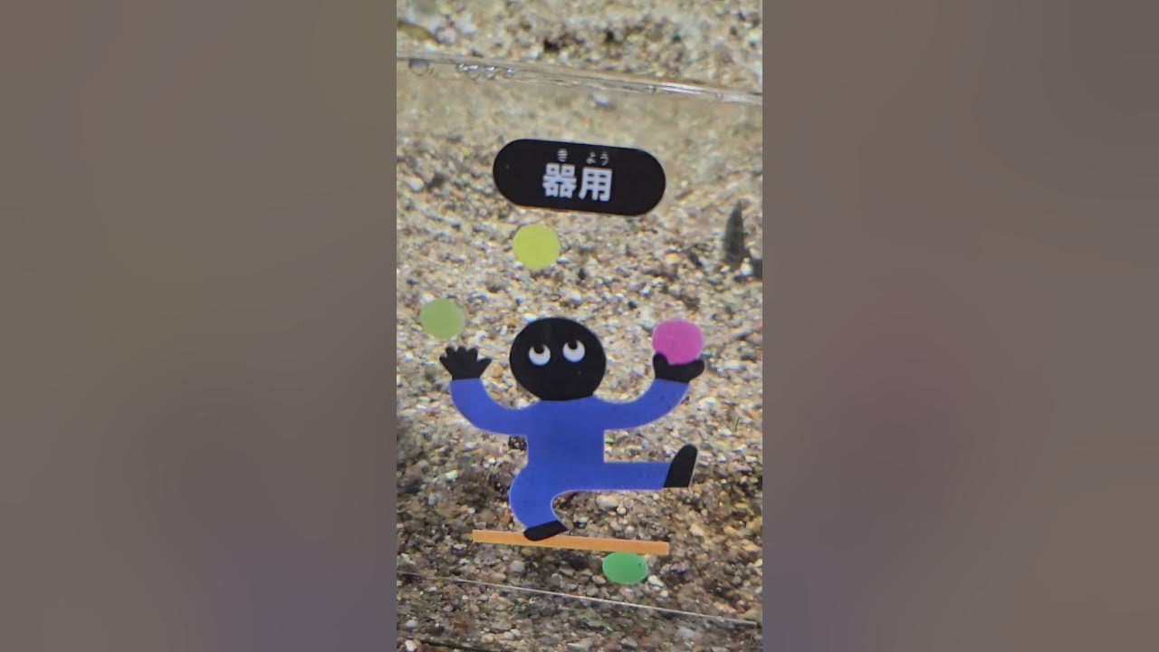 2025年1月4日 NIFREL - YouTube