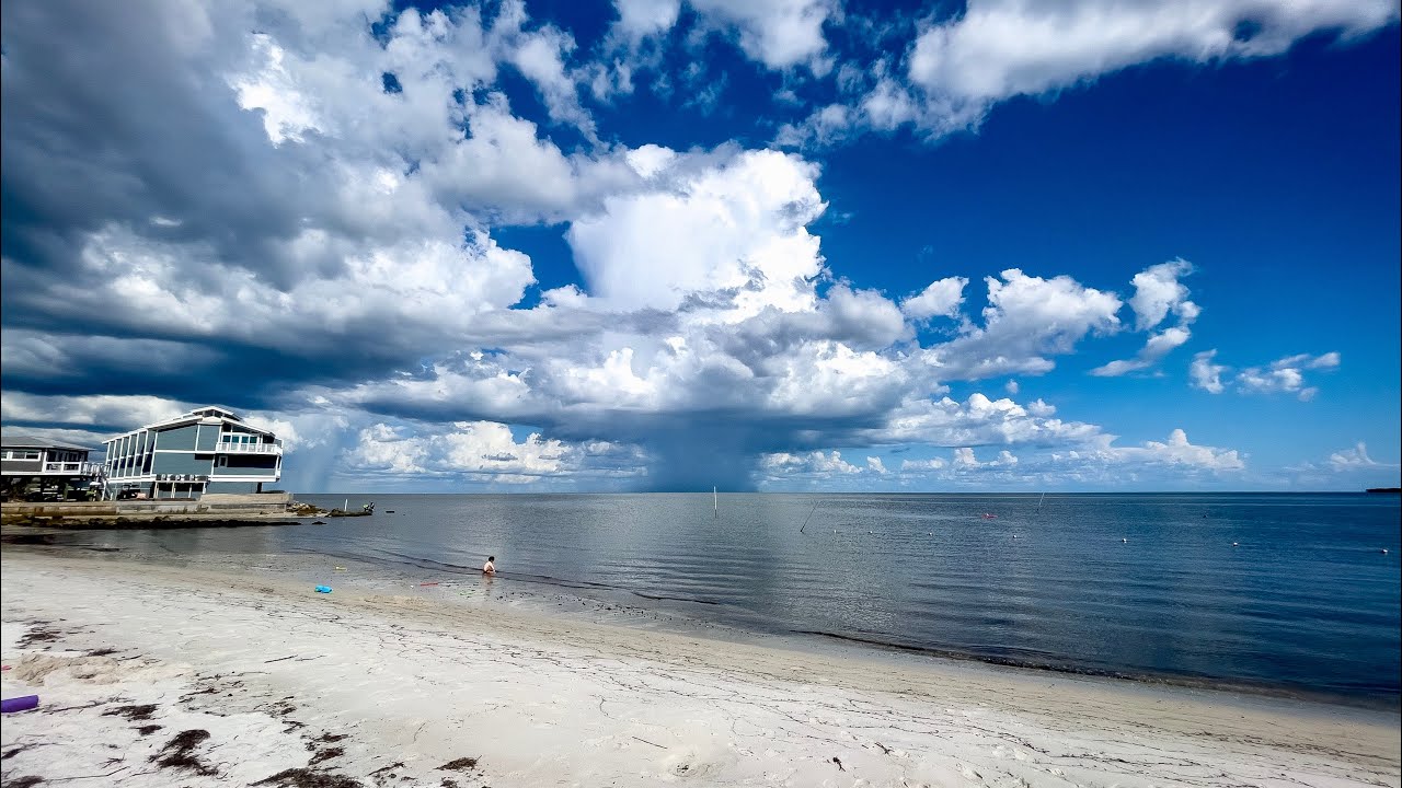 Cedar Key Florida LETS GO!!! Seafood! #beach #floridabeach - YouTube