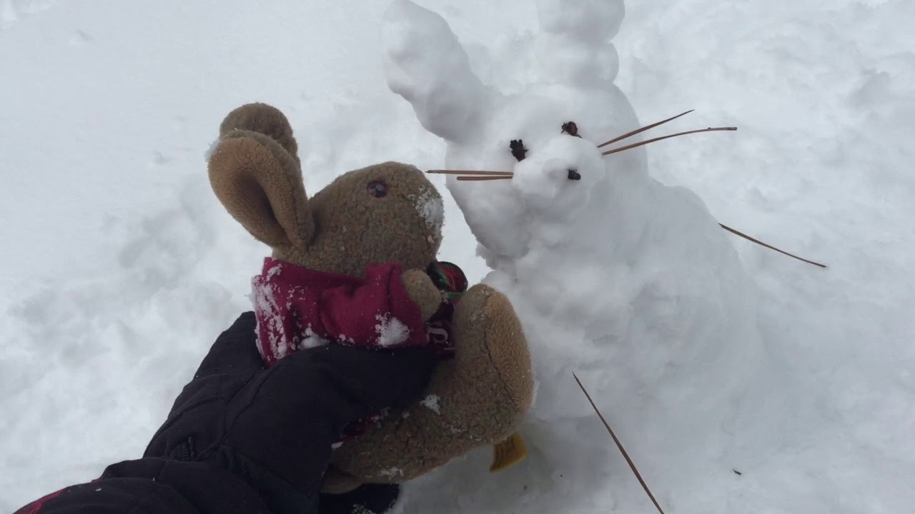 snow bunny - YouTube