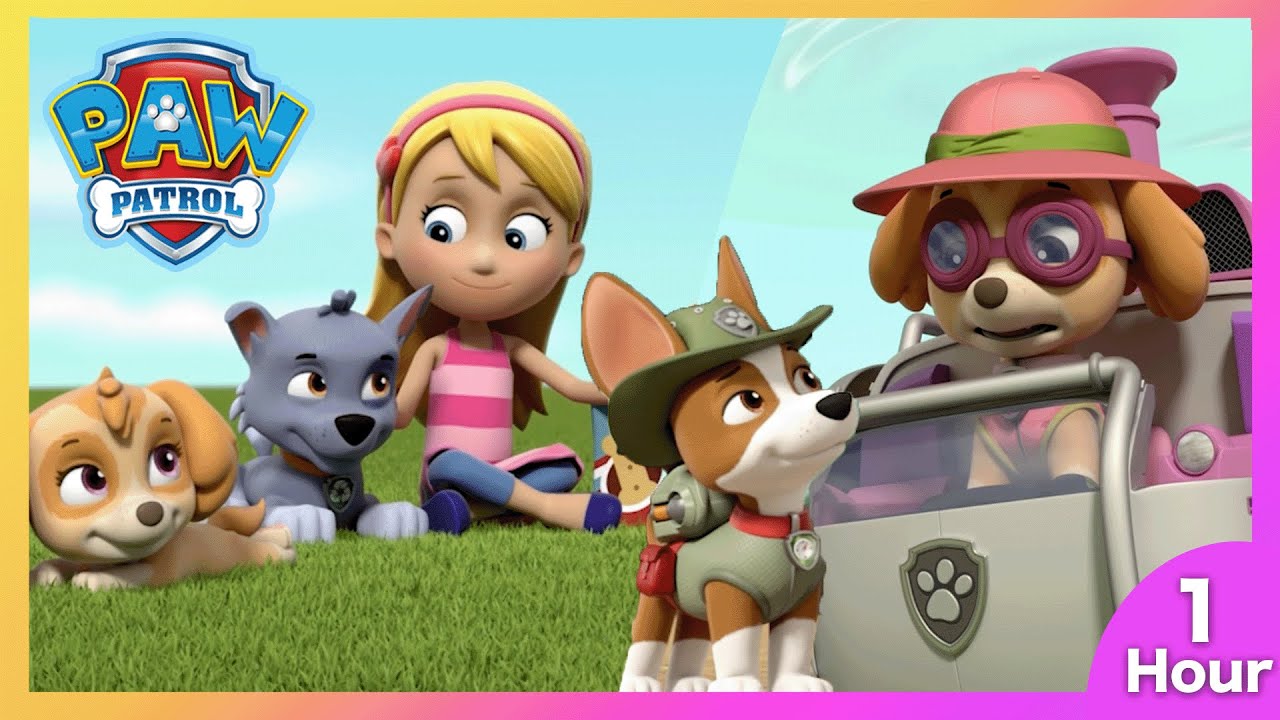 Paw Patrol New Mystery Guest Episode!🤩 +More | PAW Patrol ⭐️ 1Hour ...
