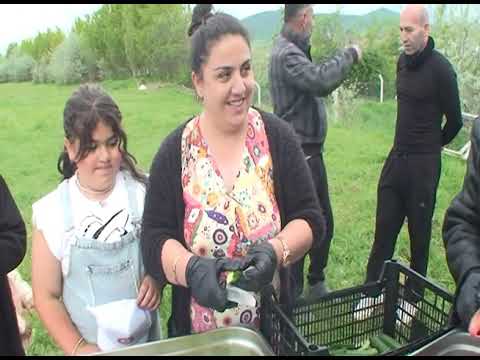 GÜLLÜK KÖYÜ ŞENLİĞİ filmi