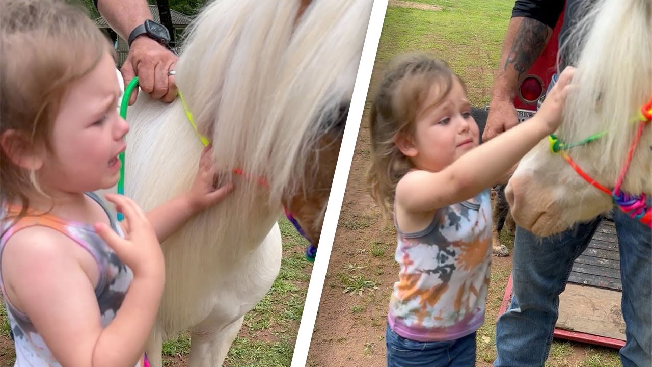 Getting A Pony Leaves Girl 'Foaling' Emotional - YouTube