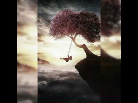 Vega - Delinin Yıldızı