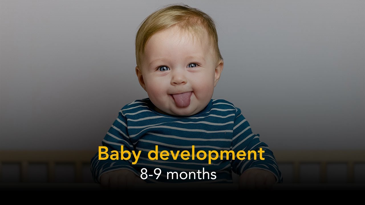Baby development – 8 to 9 months - YouTube