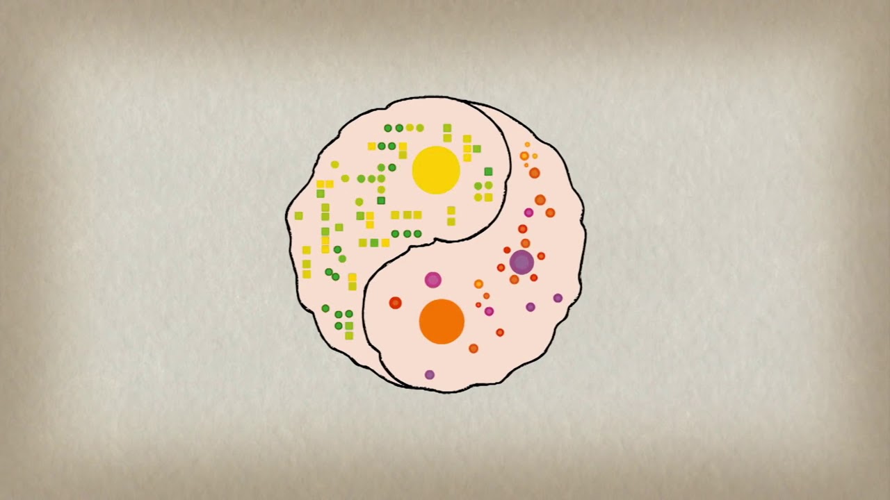 How Playing An Instrument Benefits Your Brain - YouTube
