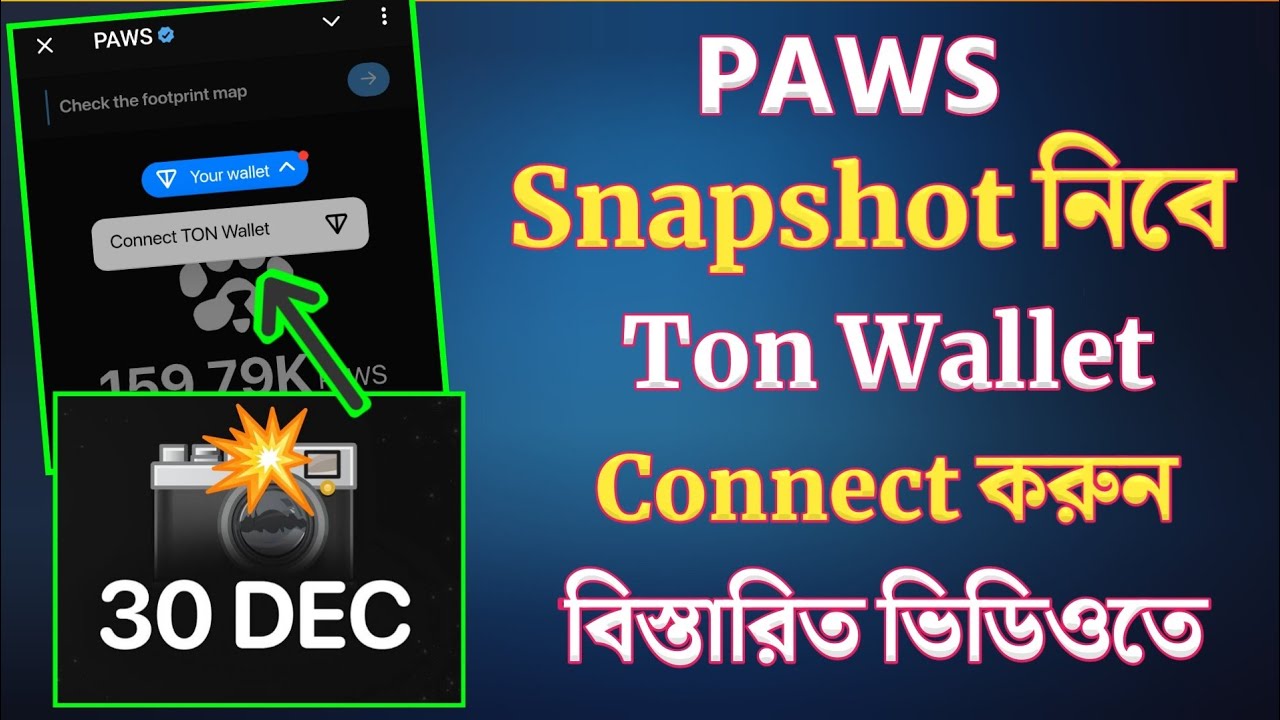 paws snapshot নিবে | paws ton wallet connect | paws airdrop listing ...