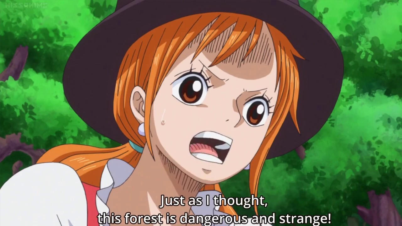 Nami getting suprised by talking crocodile - YouTube