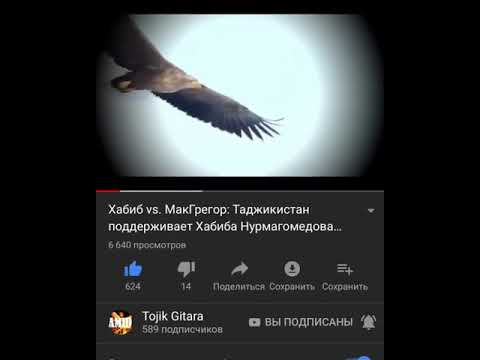 Песня про хабиба