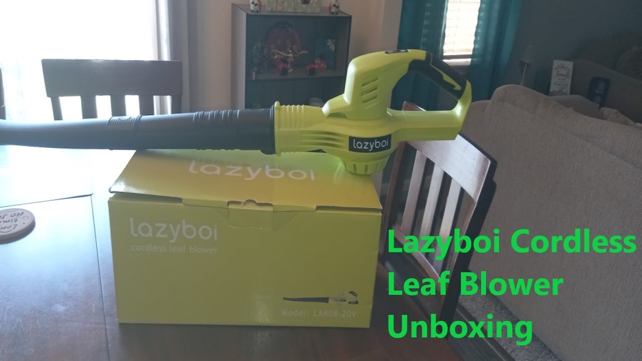 Lazyboi Cordless Leaf Blower Unboxing - YouTube