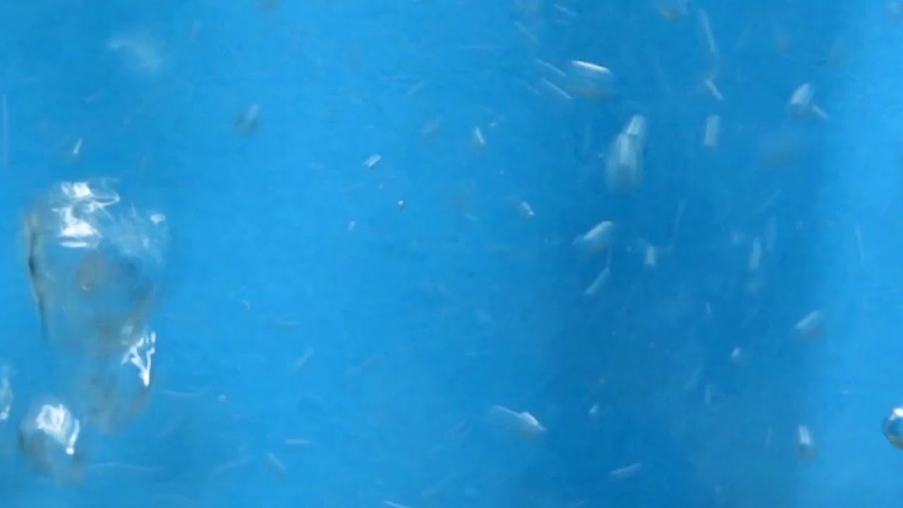 Water Sound Effects SFX - underwater sound effect - sound drops of ...