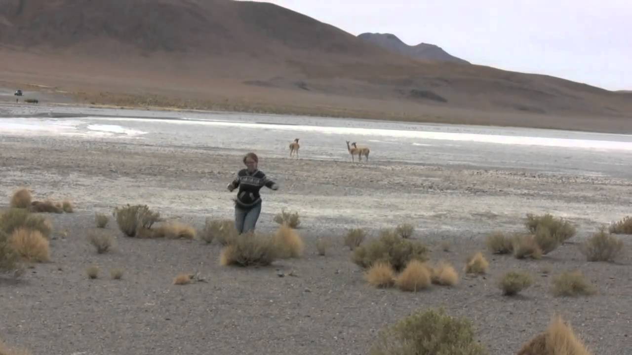 Bolivia - The Movie - YouTube
