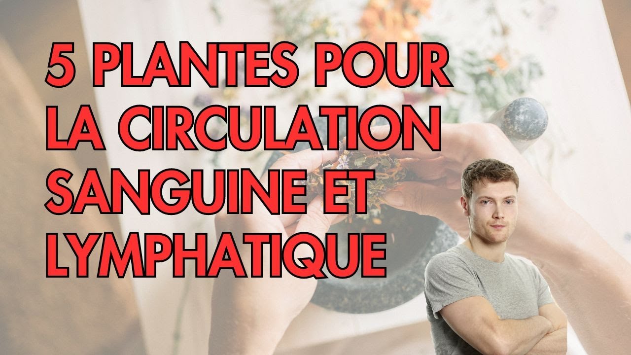 5 PLANTES pour la circulation SANGUINE et LYMPHATIQUE - YouTube