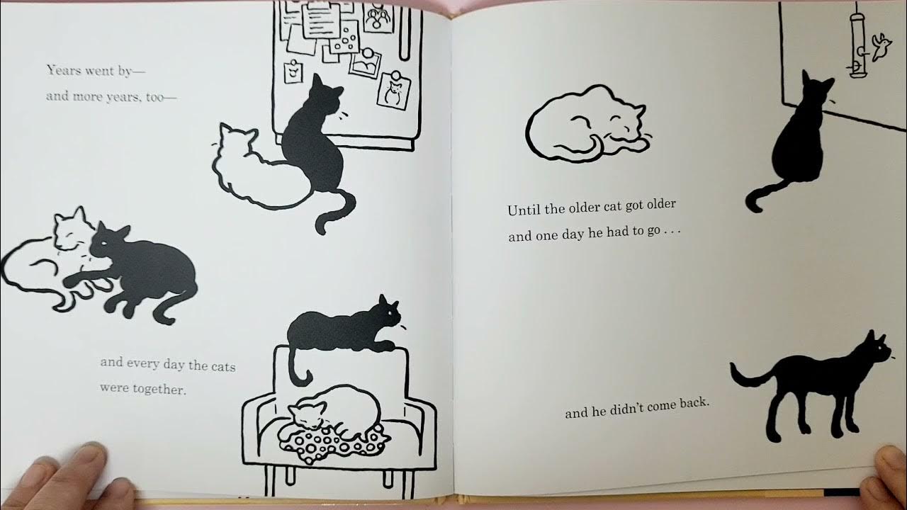 BIG CAT, little cat by Elisha Cooper - YouTube