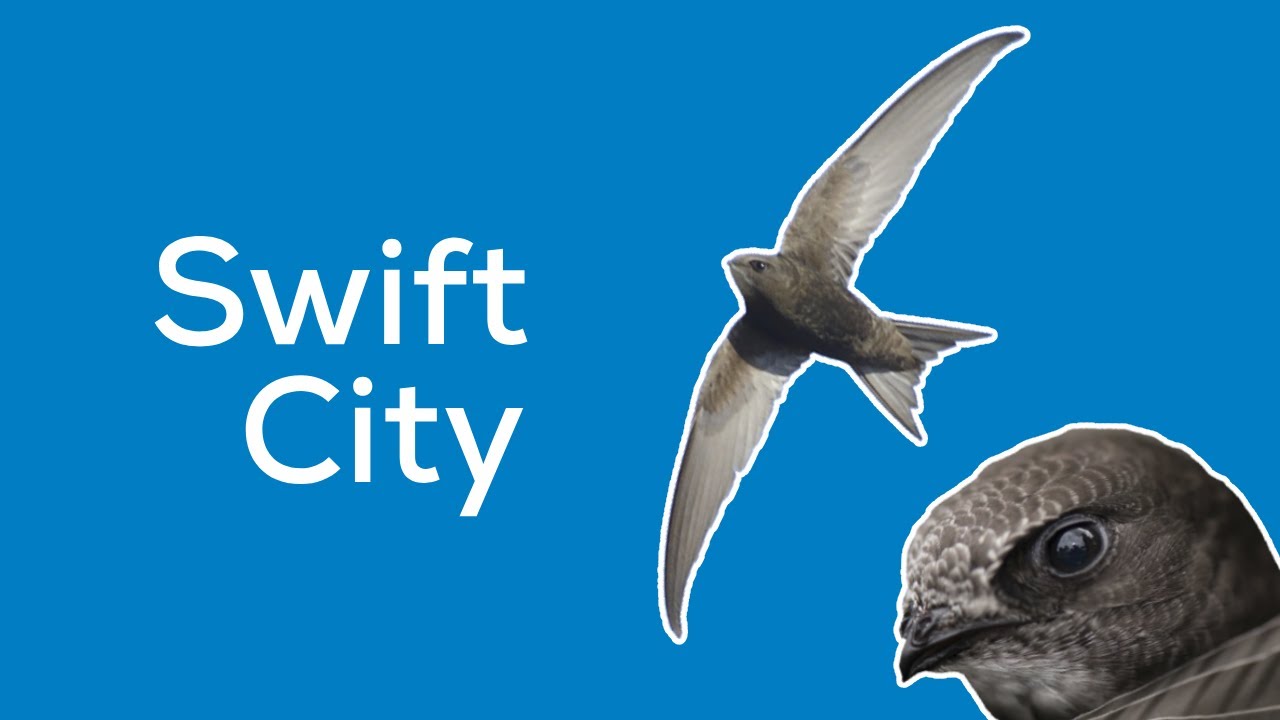 EDINBURGH - THE SWIFT CITY - YouTube