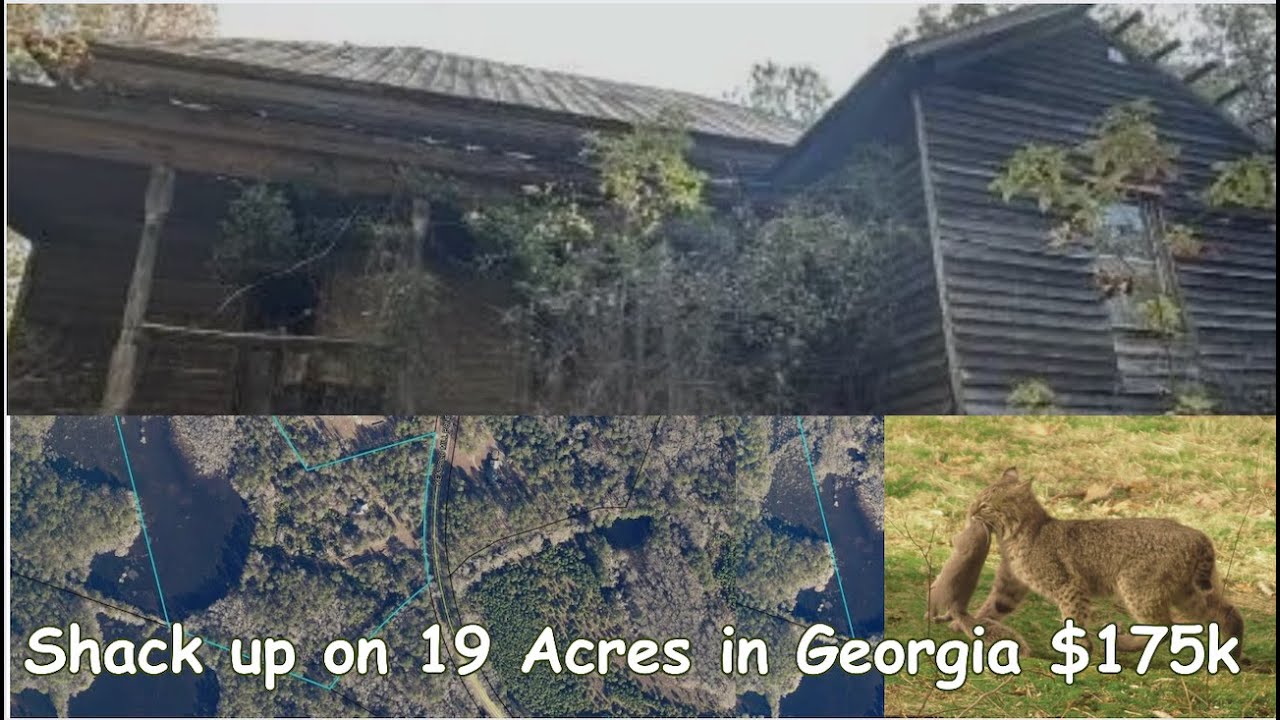 Let's Shack Up 😉 19 Acres in Georgia $175k - YouTube