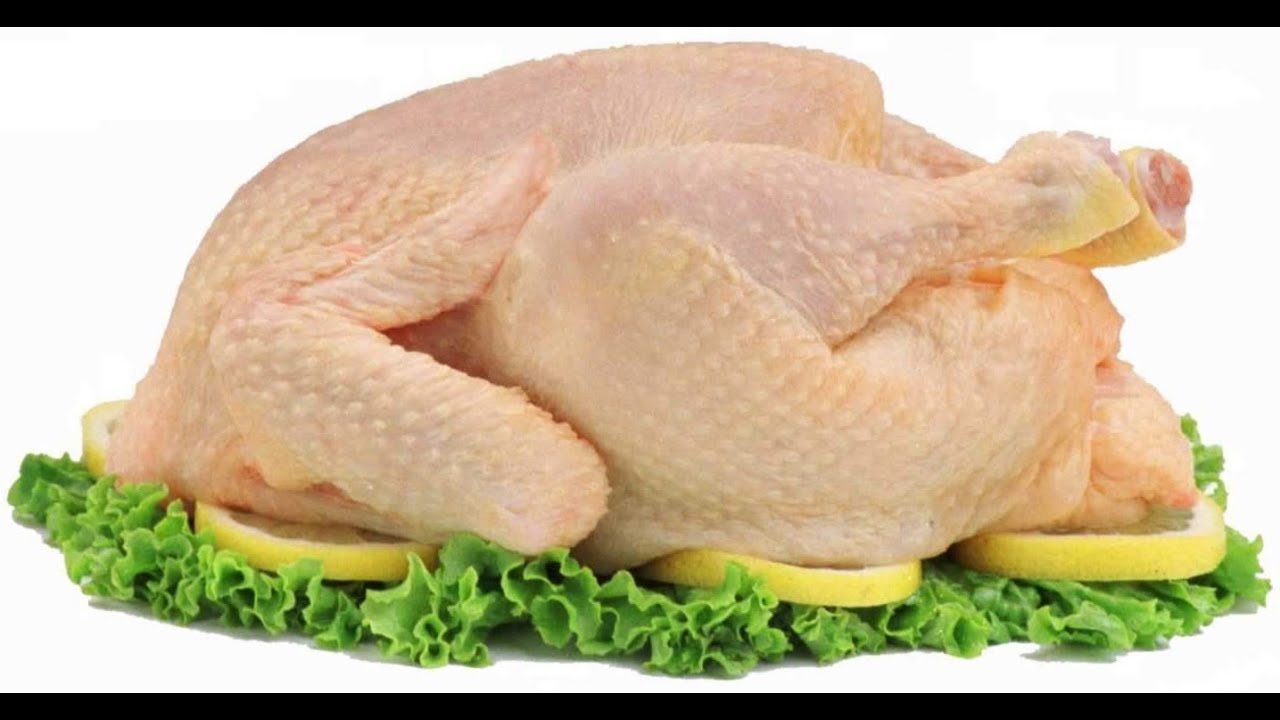 El Gavilán Pollero - Nightcore MLG - YouTube