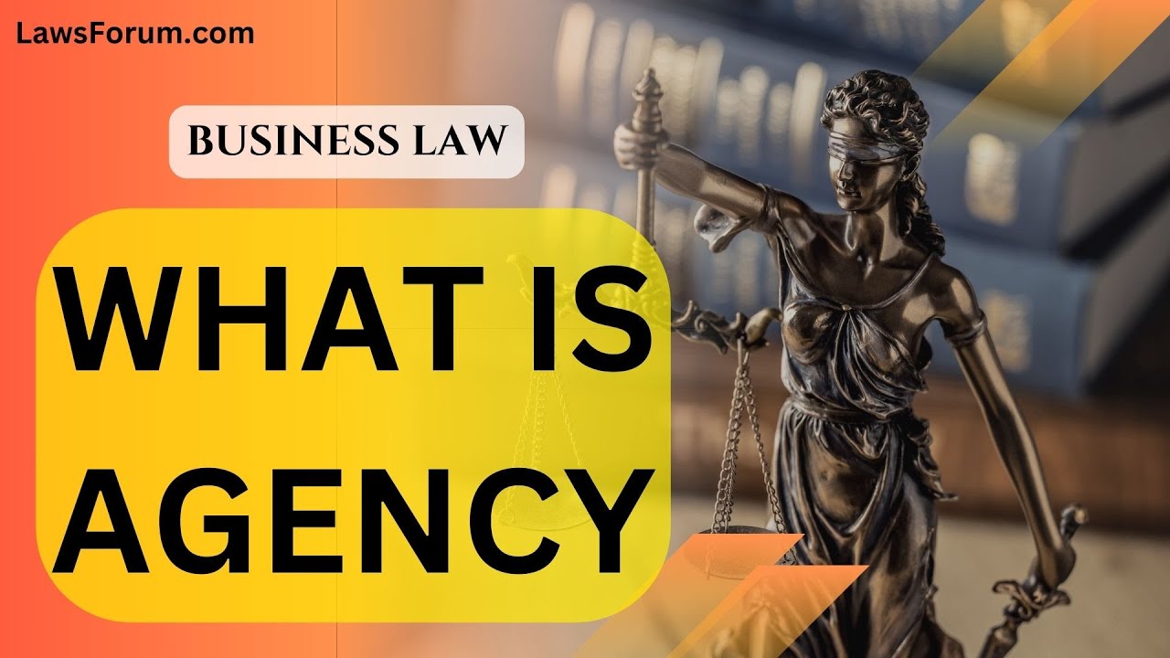 🎥 What is Agency: Business Law Explained! - YouTube