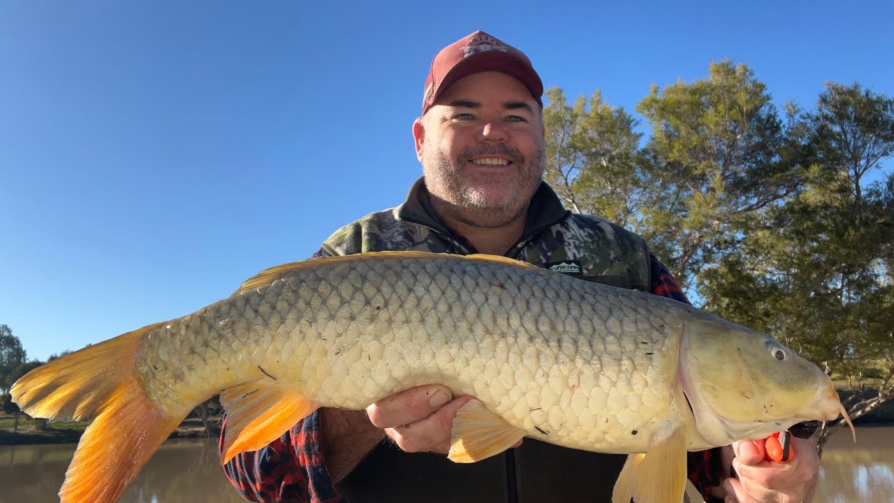 Big Carp Fishing - YouTube