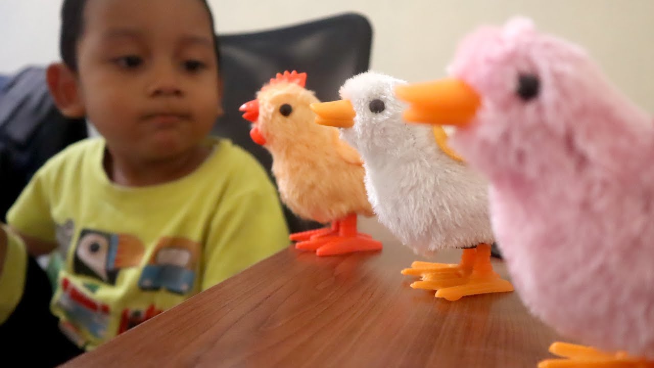Mainan Lucu Anak Ayam Jingkrak - Jingkrak ! Mainan Murah Meriah ...