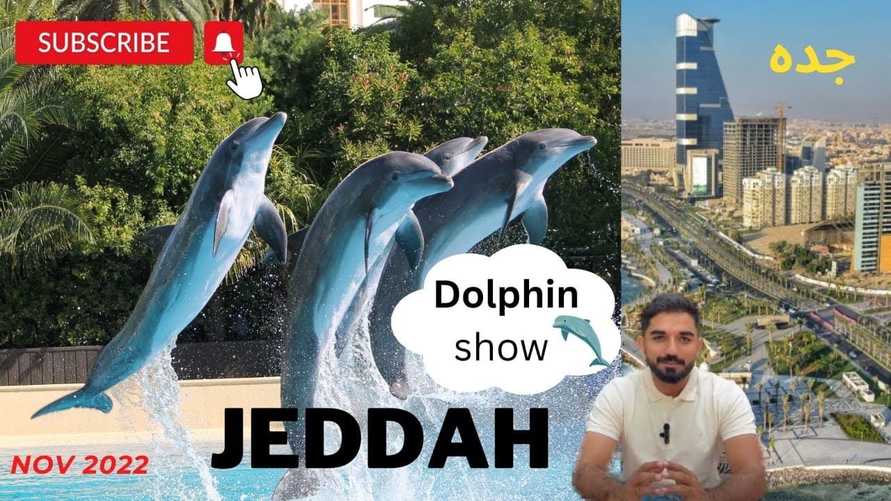 Dolphin show in jeddah || Fakeih aquarium - YouTube