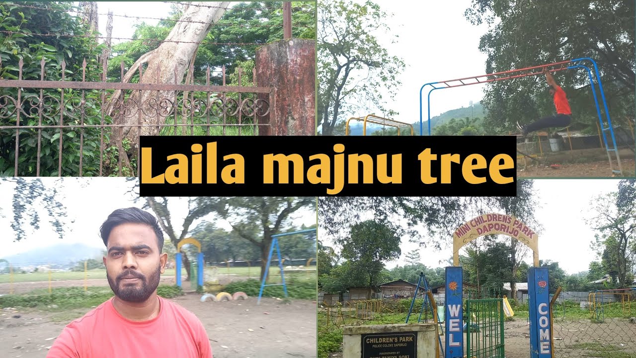 Laila Majnu Tree Daporijo - YouTube
