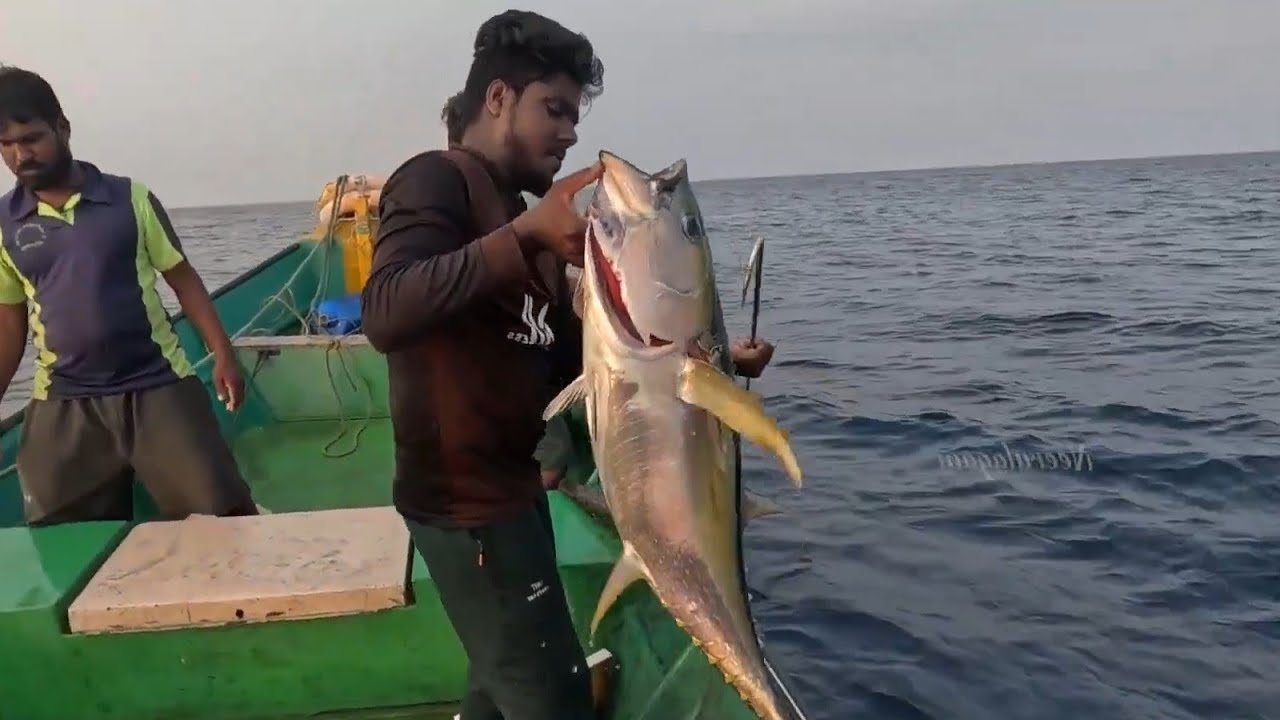 Deep Sea Fishing for perfect tuna | Catching Tuna, wahoo, snappers ...