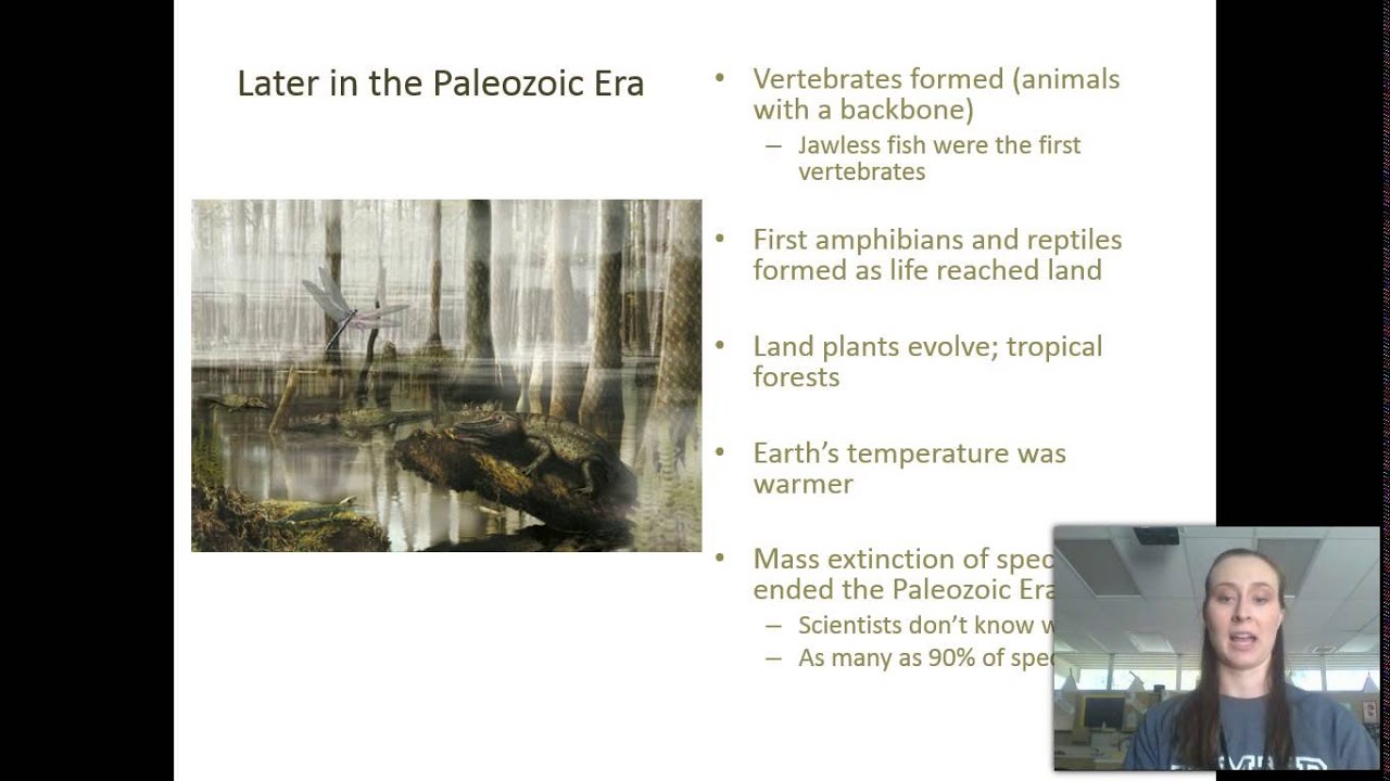 Ch 8 Section 5 - YouTube