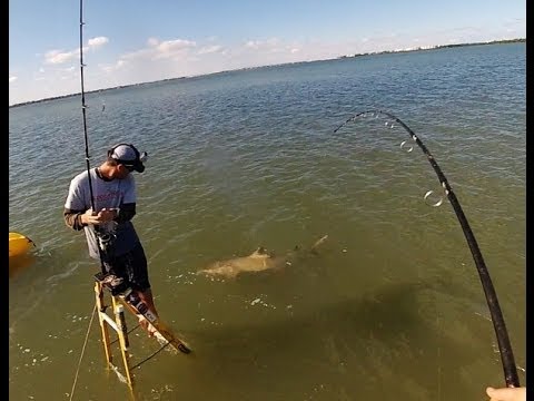 Shark Attack (Close Call!) - YouTube