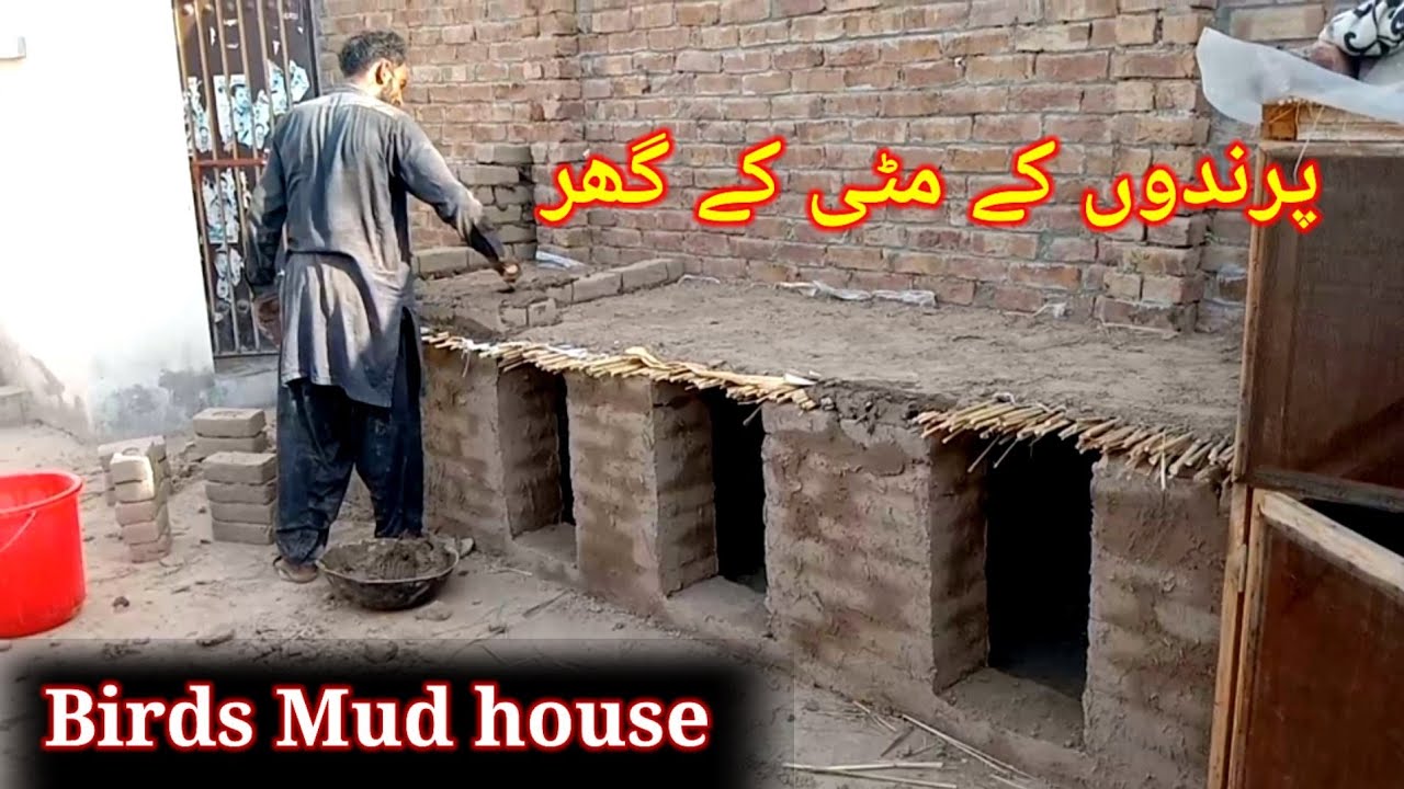 how to make birds mud house in summer | Birds mud house | birds cages ...
