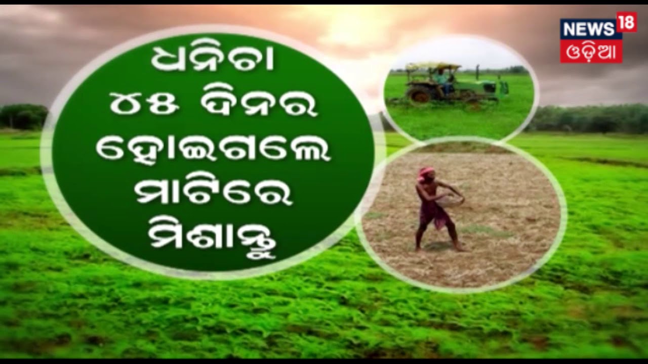 Annadata | Farming Methods And Techniques | July 30, 2019 - YouTube