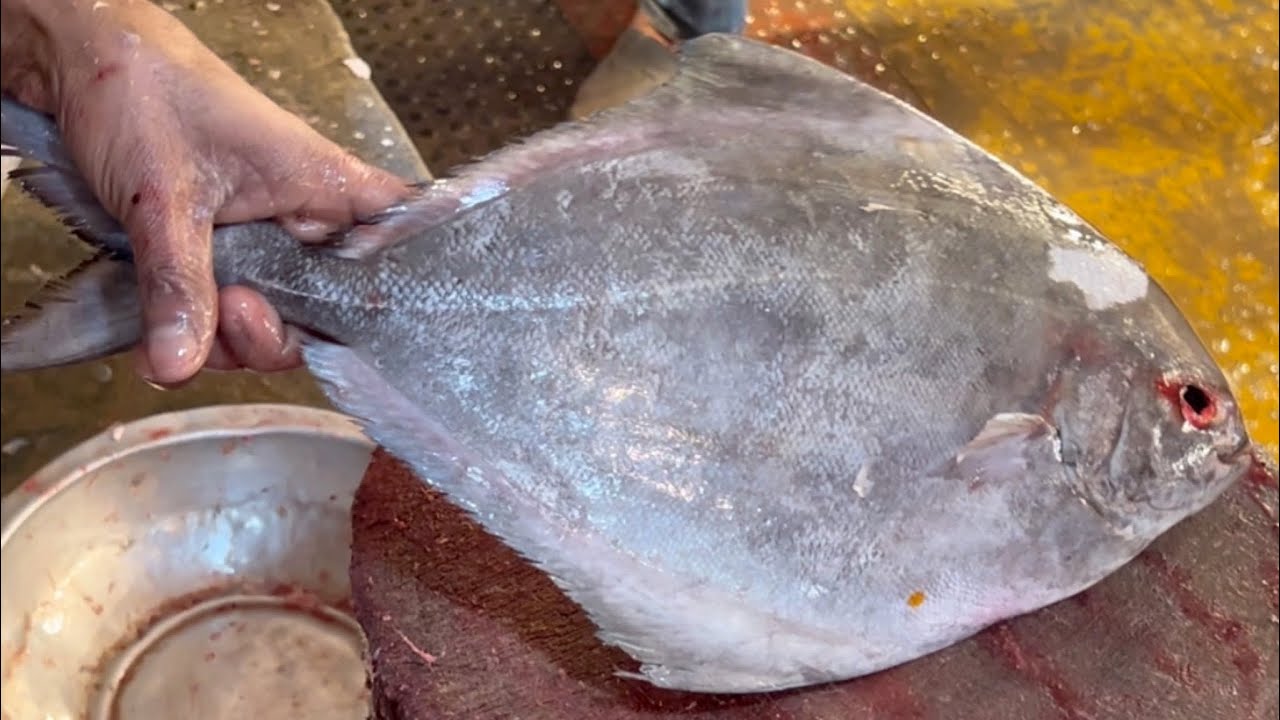Big BLACK POMFRET FISH Cutting Skills In Fish Market | Fish Cutting ...