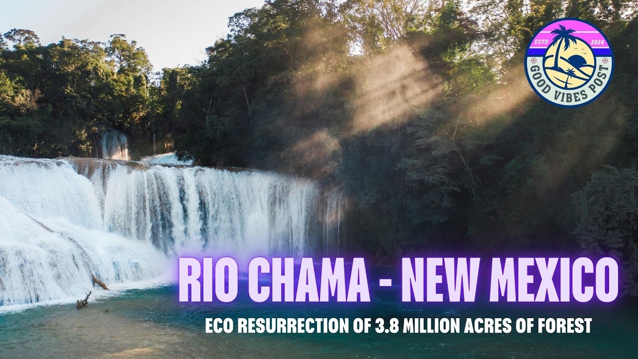 Eco-Resurrection: How Rio Chama's 3.8 Million Acres of Forest Are ...