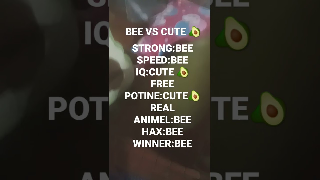 BEE WIN - YouTube