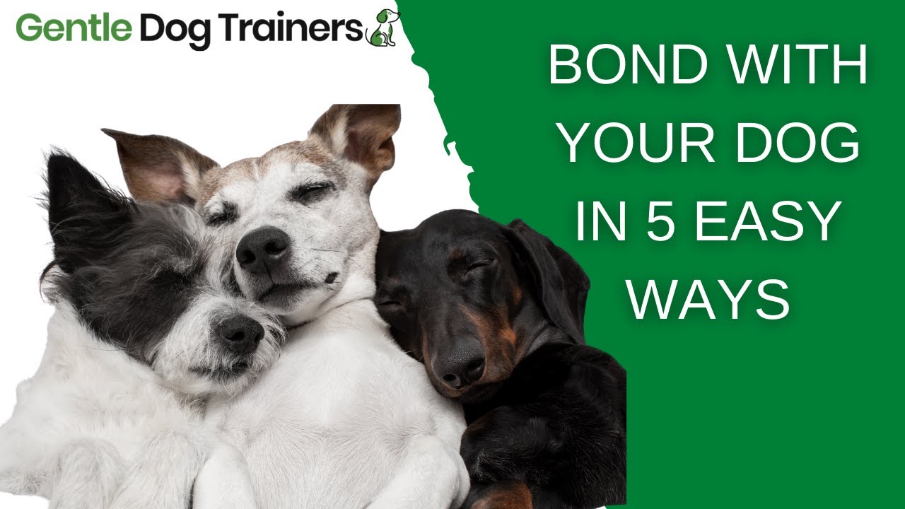How To Bond With Your Dog: 5 Easy Techniques! - YouTube