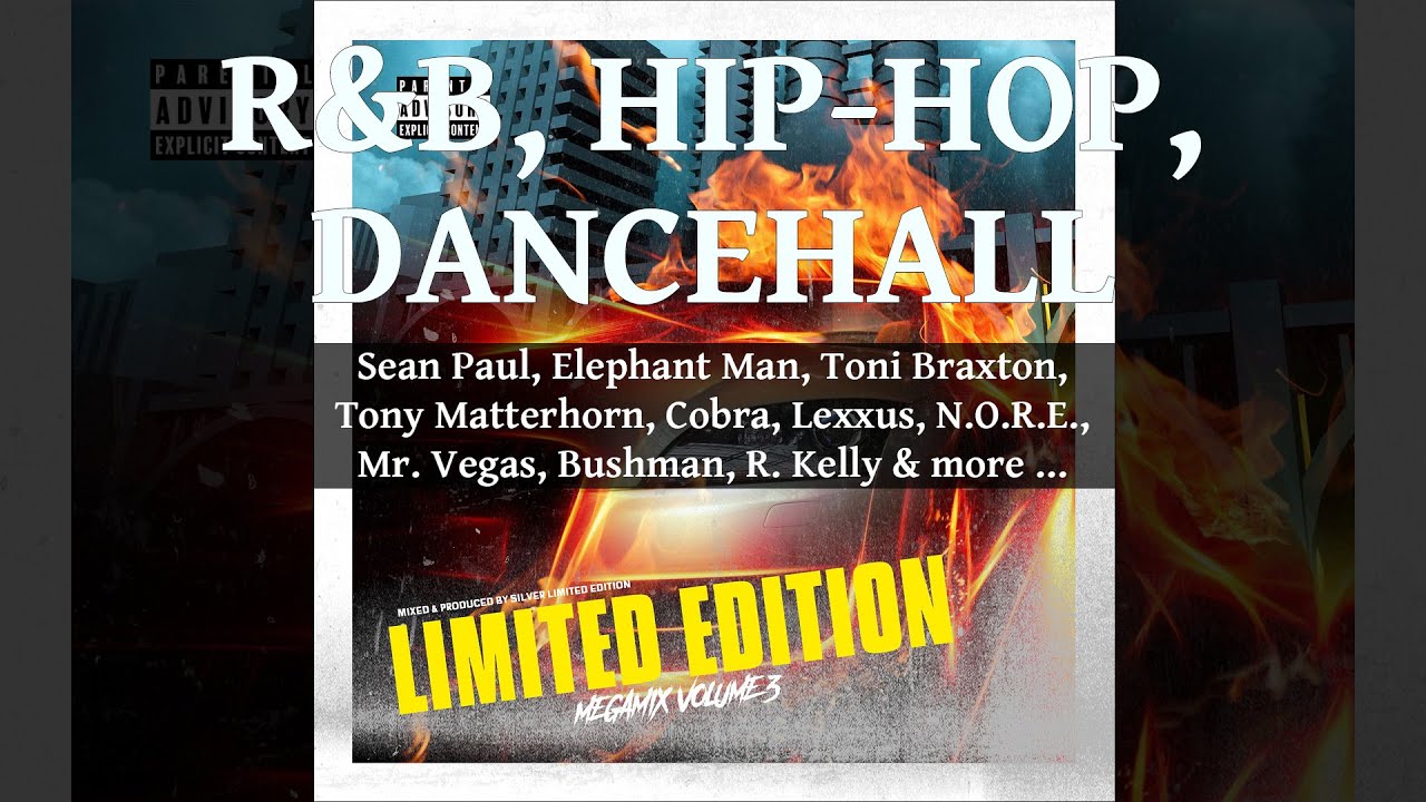 Hip-Hop, RnB, Dancehall Mix 2024 Ft Sean Paul, Elephant Man, Toni ...