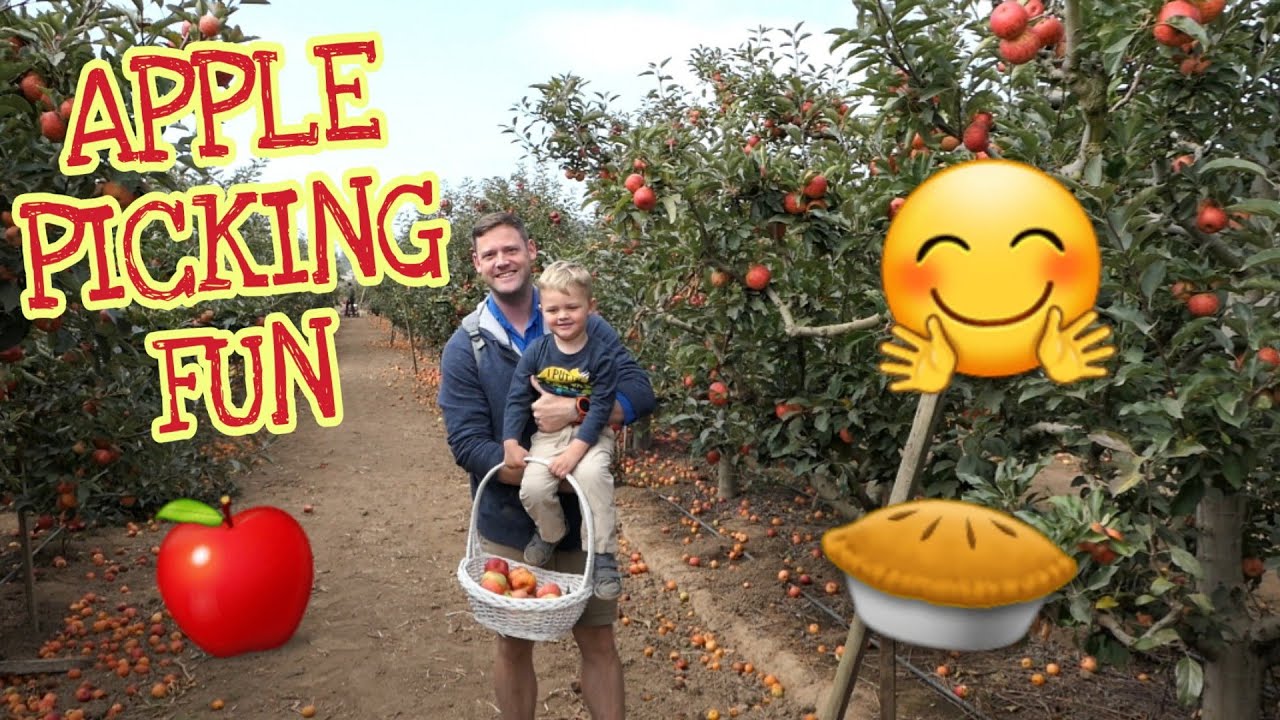 APPLE PICKING FUN 🍎🥧 - YouTube