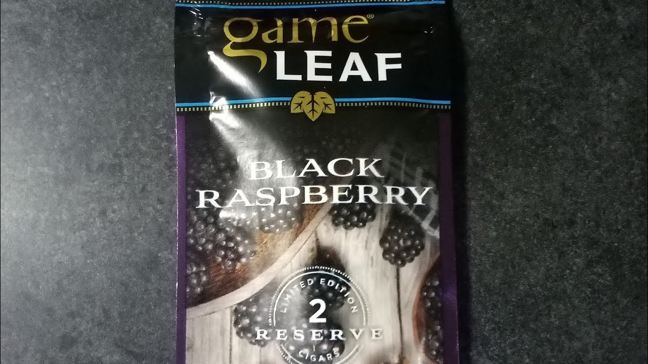 Game Leaf Black Raspberry Cigarillo Review - YouTube