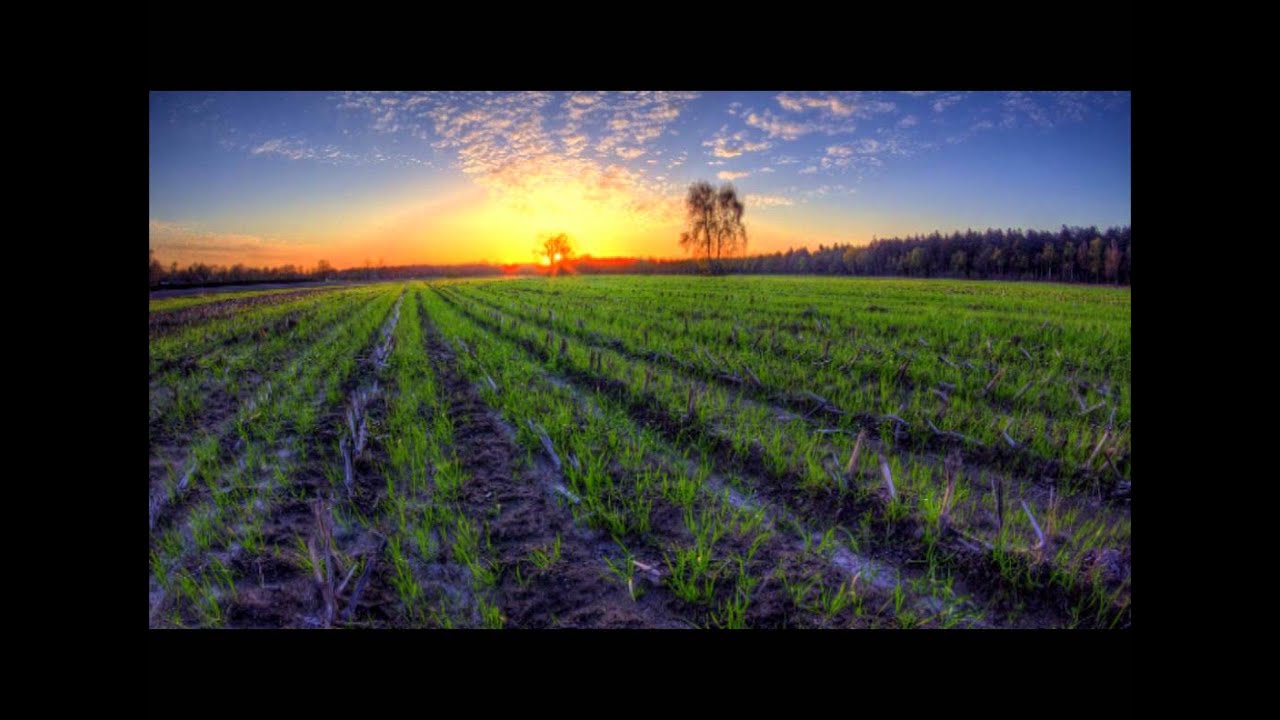 InTrancity 14 - YouTube