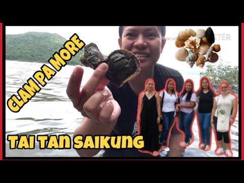 MARAMI KAMING NAKUHANG KABIBI (CLAM) | TAI TAN SAIKUNG HONGKONG | WITH ...