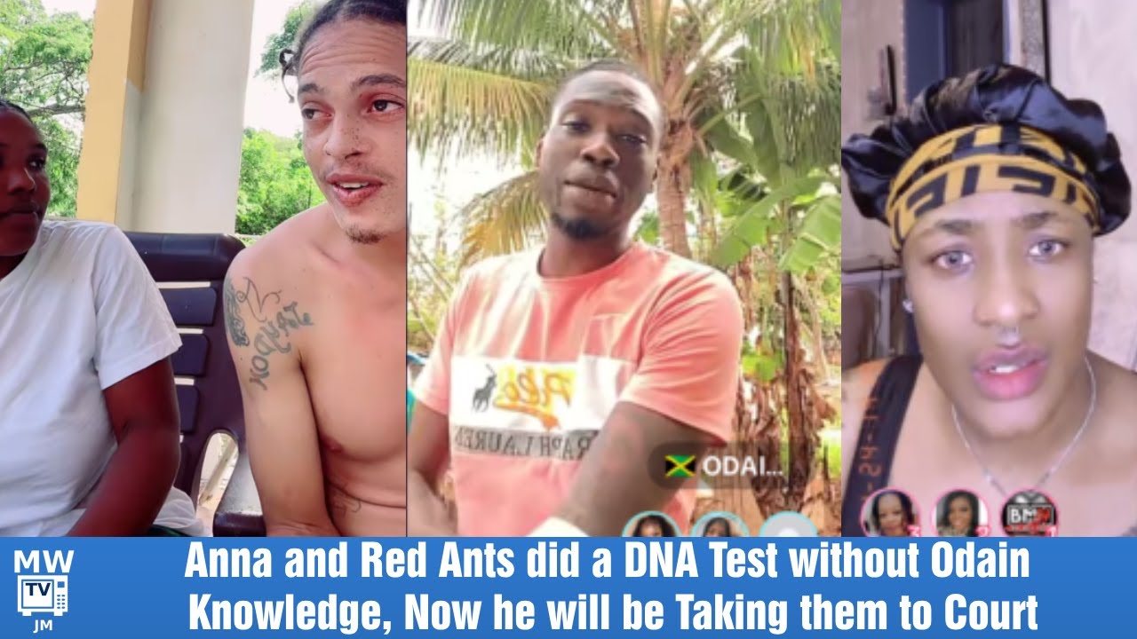 Anna and Red Ants did a DNA Test at Home without Odain Knowledge, he ...