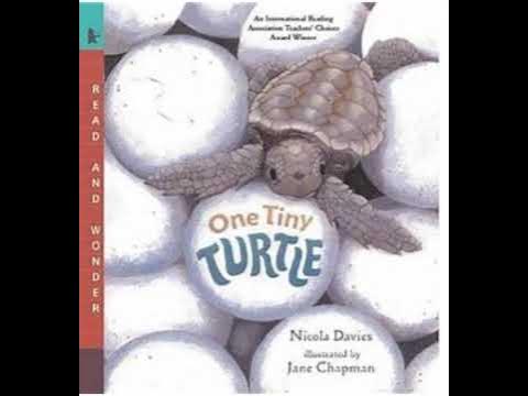 Read aloud Story: One Tiny Turtle by Nicola Davies - YouTube