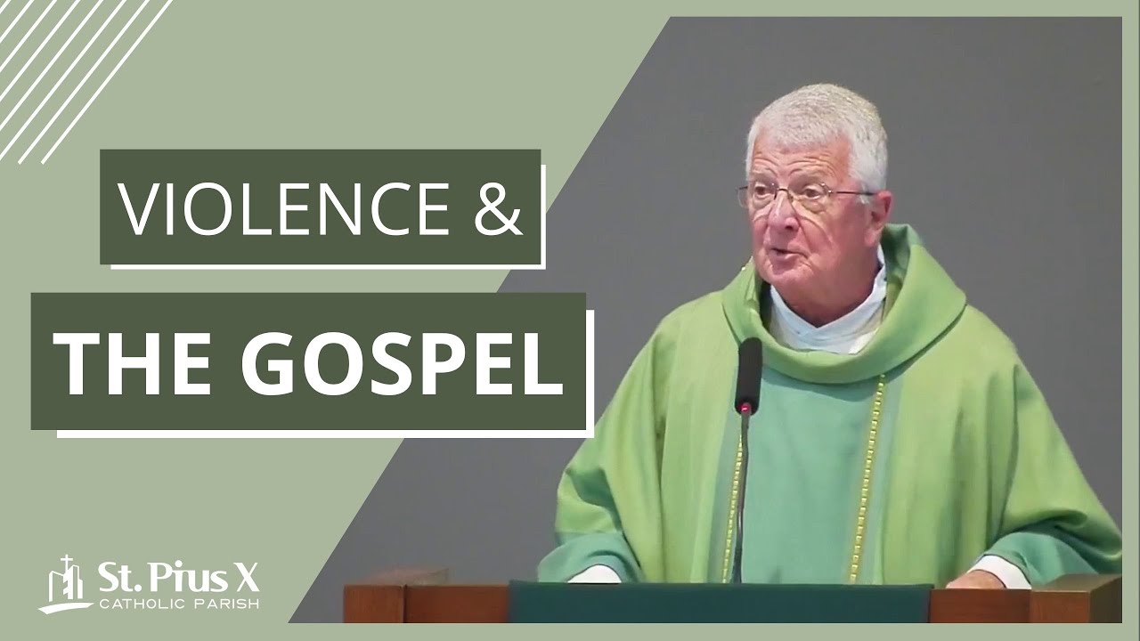 NO Place For Violence | 15th Sunday in Ordinary Time ~ Catholic Homily ...