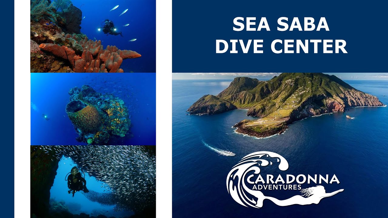 Sea Saba Dive Center Presentation - YouTube