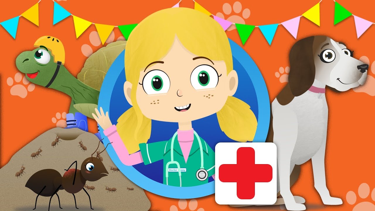 Alice The Ant Visits Dr Poppy's Pet Rescue | Animals For Kids - YouTube