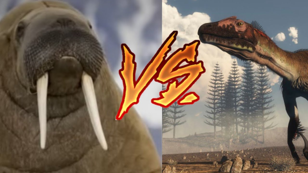 Walrus Vs utahraptor (old cringe) - YouTube