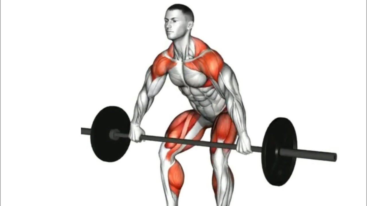 Barbell Clean Pull, Power Clean, and Snatch Pull Tutorial" Day in the life fitness - YouTube