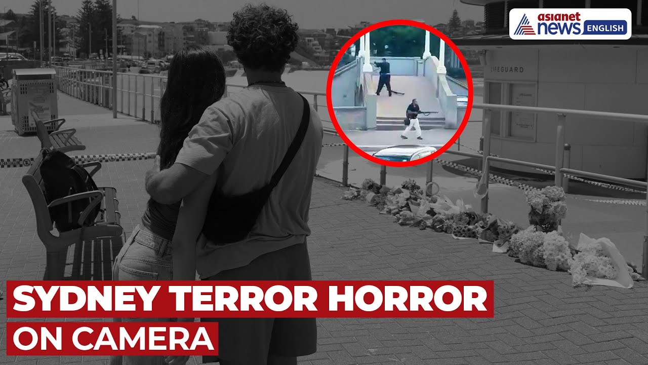 Sydney Horror Caught on Camera: Entire 10-Minute Mass Attacking ...